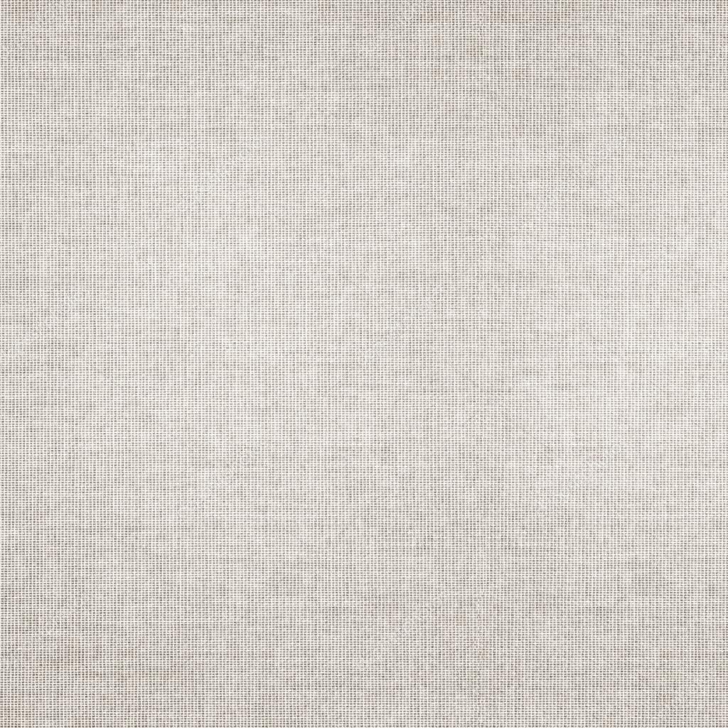 Canvas background — Stock Photo © Miro-Novak #44207505