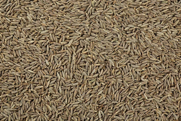 Malt background Stock Photos, Royalty Free Malt background Images ...