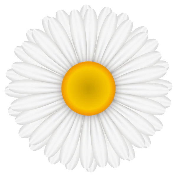 50,796,940 Dafli Vector Images | Depositphotos