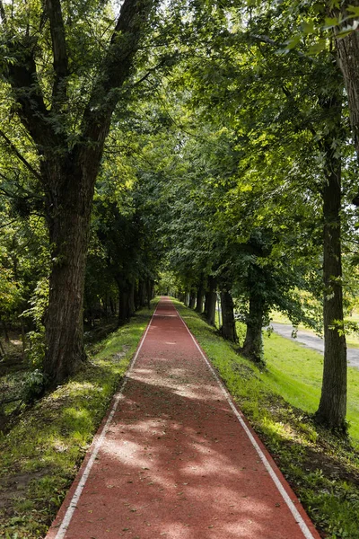 Rubber running track lane in public park at urban city. Nature trees ...
