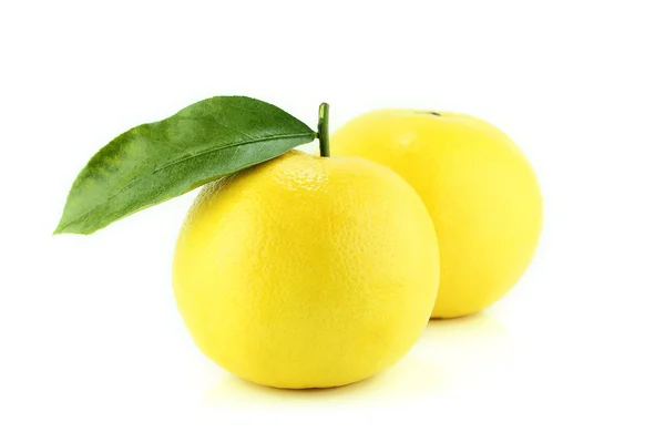 En face de citron images libres de droit, photos de En face de citron ...