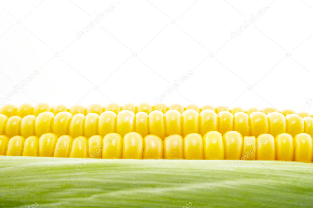 Corn — Stock Photo © designsstock #43827641
