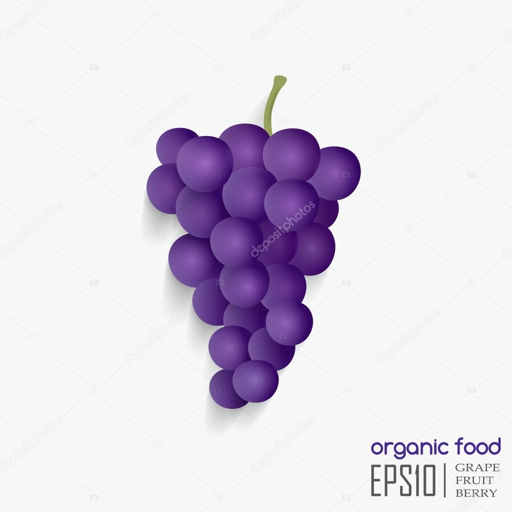 Realistic vector illustration of isolated grape Stock Vector by ...