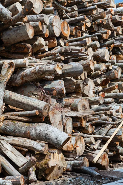 Timber piles Stock Photos, Royalty Free Timber piles Images ...