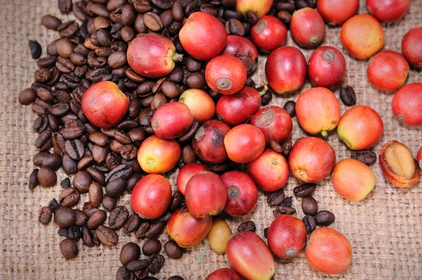 Fresh ground coffee Stock Photos, Royalty Free Fresh ground coffee ...