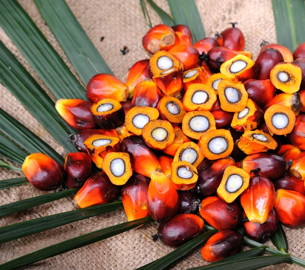 Red palm oil Stock Photos, Royalty Free Red palm oil Images | Depositphotos