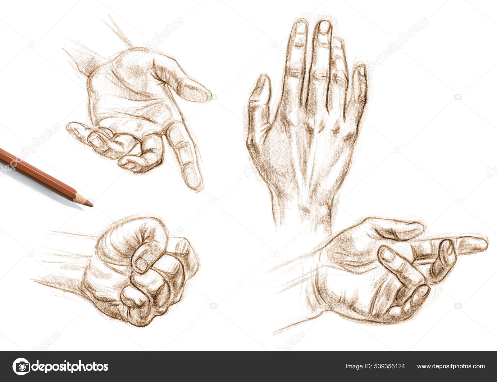 Croquis Au Crayon De La Nature