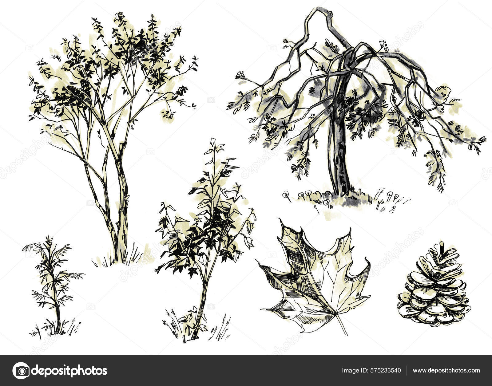Croquis De Dessin De La Nature L´Ermita De Marxuquera (Gandie).