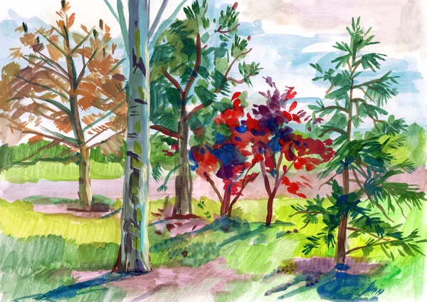 Landscape With Trees. Freehand drawing with watercolor - Stock Image ...