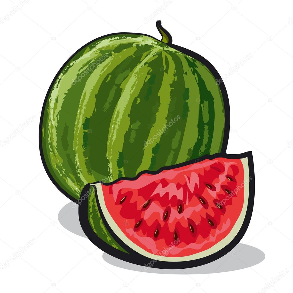 Sandía. vector, gráfico vectorial © olegtoka1967 imagen #36030235