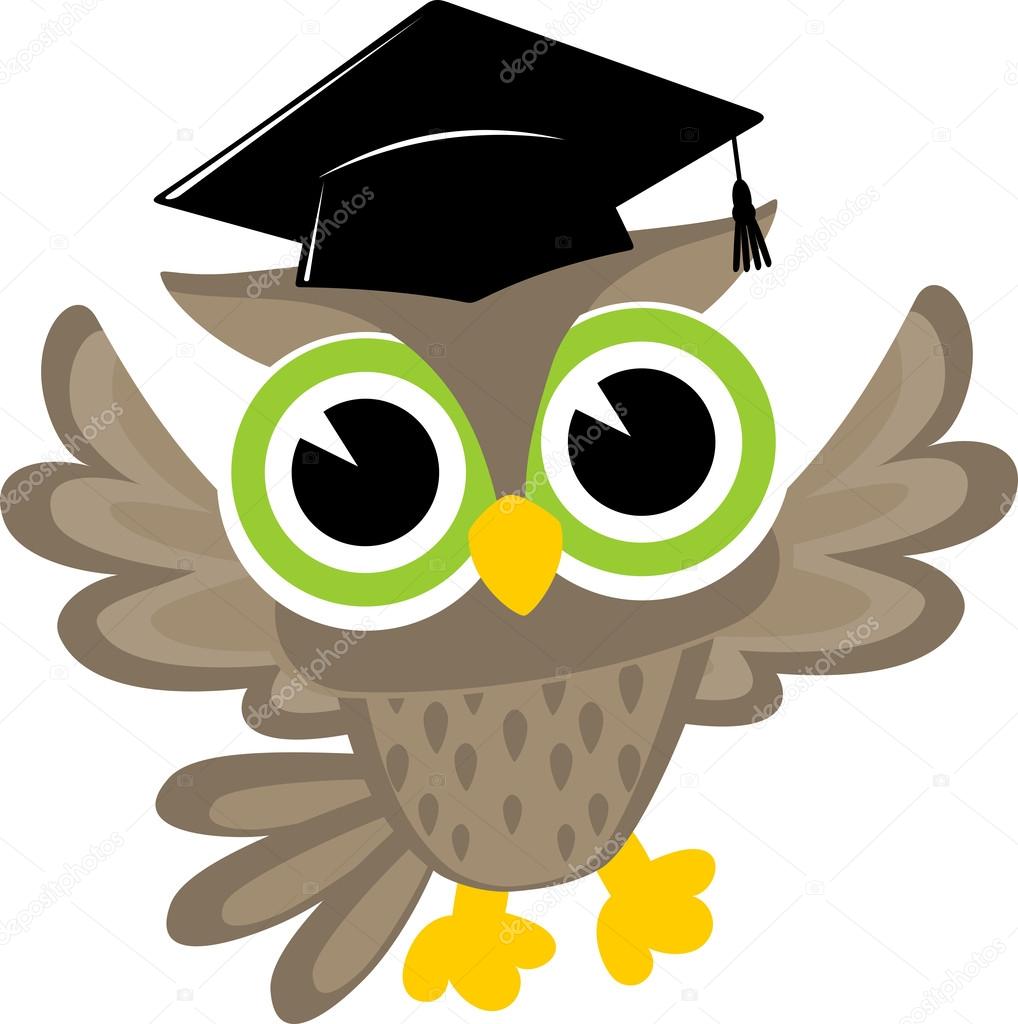 Happy owl graduation — Stock Vector © hayaship #26512971