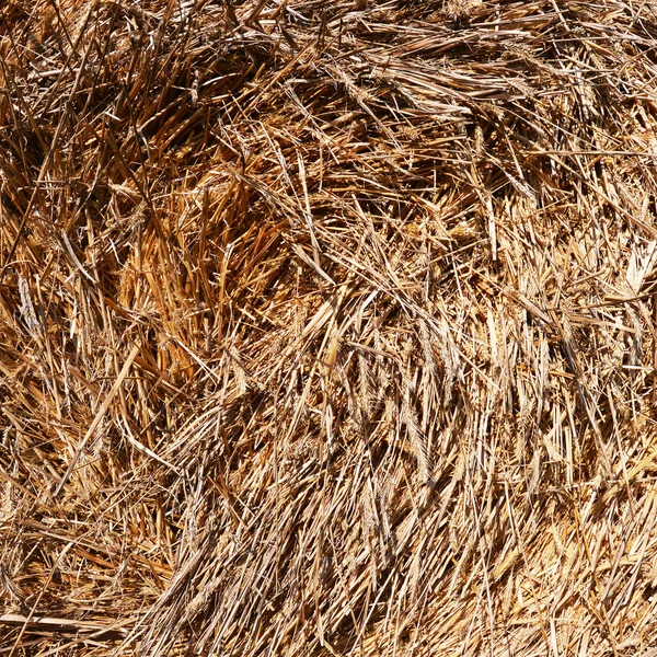 ᐈ Hay rick stock pictures, Royalty Free hay rick photos | download on ...
