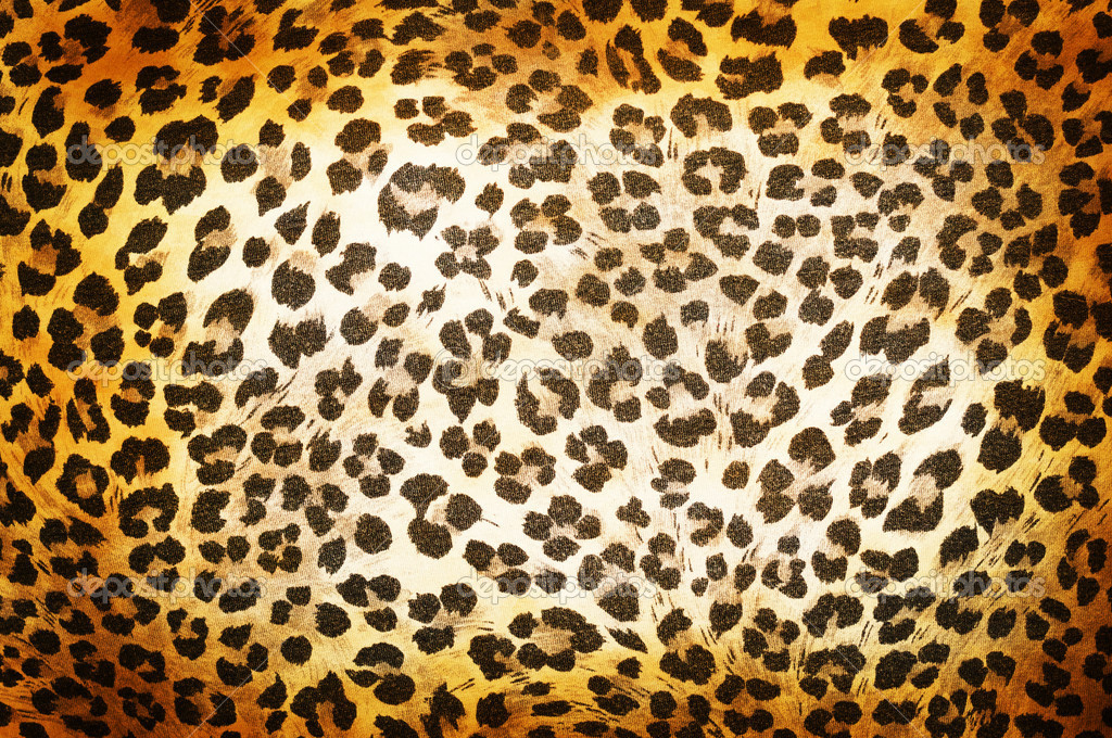 Cheetah pattern — Stock Photo © kwasny222 #28008389