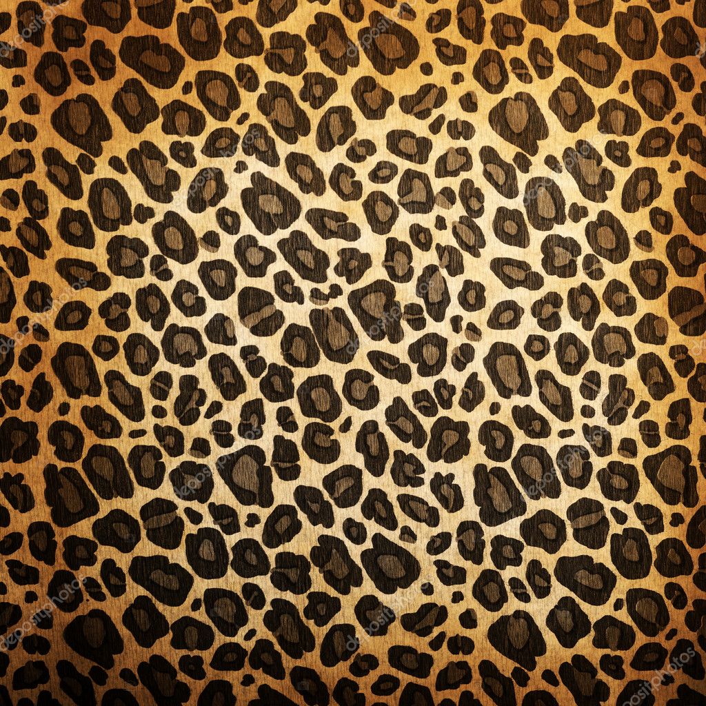 Leopard pattern Stock Photo by ©kwasny222 29579847