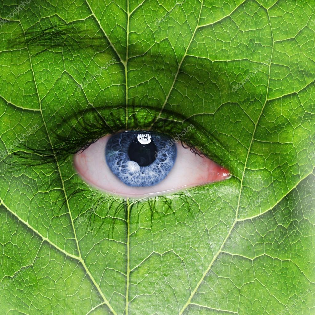 Blue eye close up and leaf texture on face. — Stock Photo © kwasny222 ...