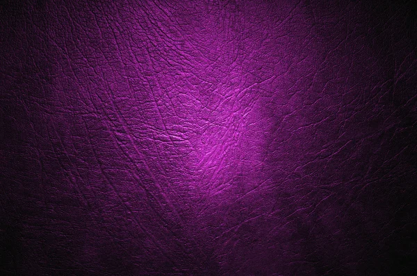 Purple leather Pictures, Purple leather Stock Photos & Images ...