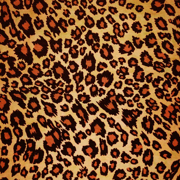 Cheetah pattern Stock Photo by ©kwasny222 41019383