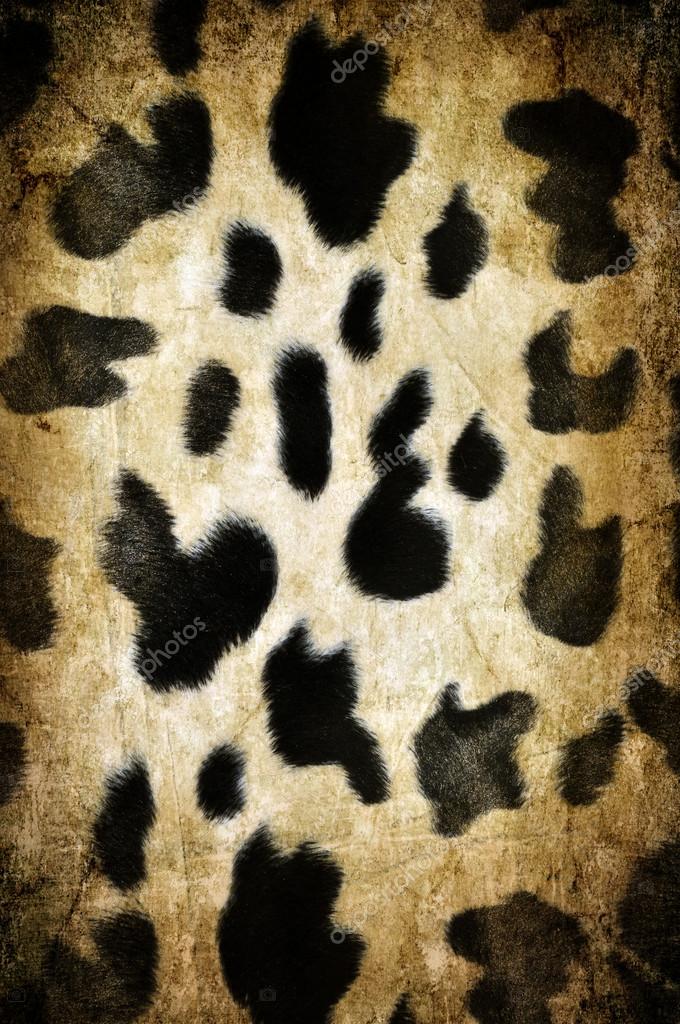 Cow pattern — Stock Photo © kwasny222 #32125543