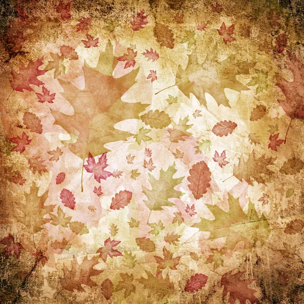 Striped fall Stock Photos, Royalty Free Striped fall Images | Depositphotos