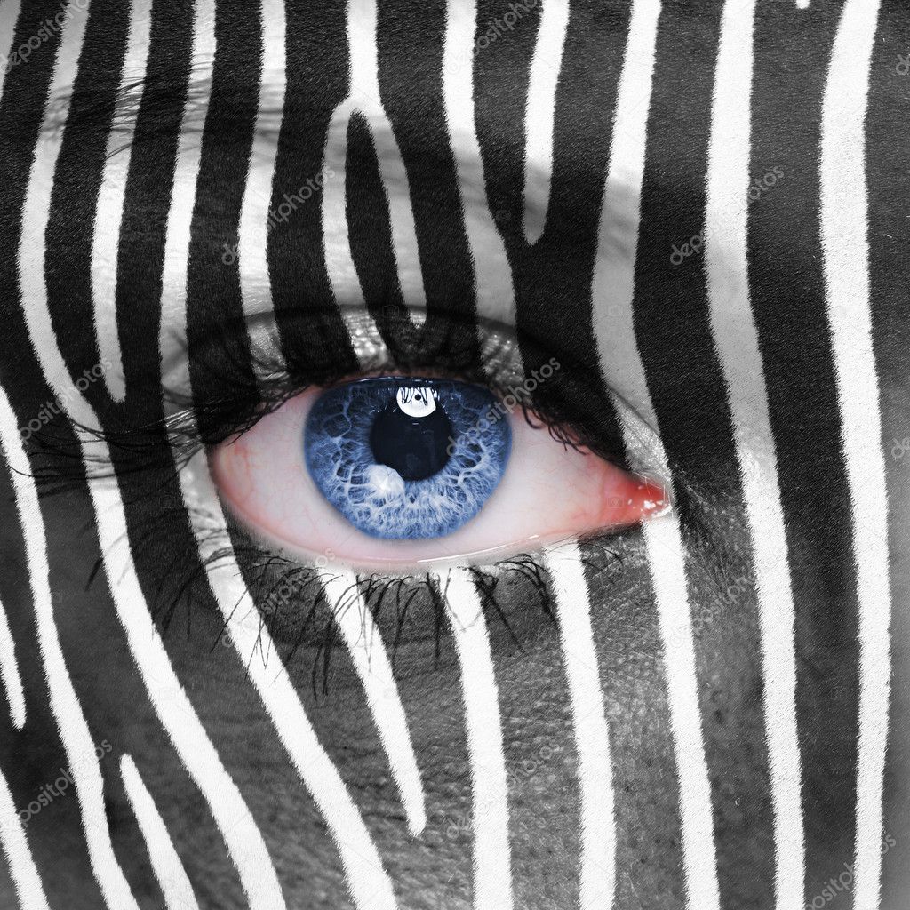 Zebra face — Stock Photo © kwasny222 #35526753