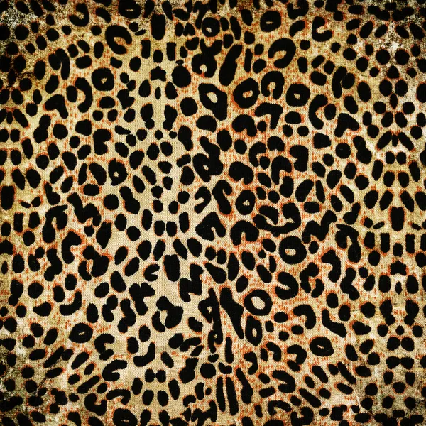 Leopard pattern Stock Photo by ©kwasny222 29579847
