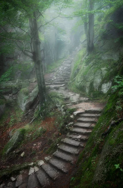 Scenere Stock Photos, Royalty Free Scenere Images | Depositphotos