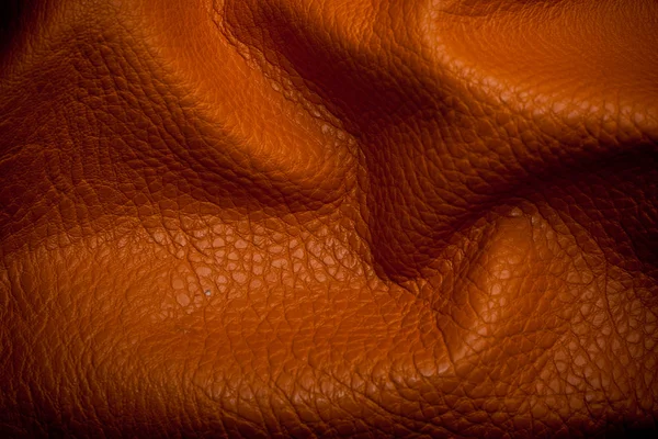 9,946,337 imágenes de Mujer de cuero libres de derechos | Depositphotos