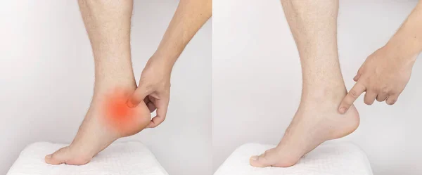 Anatomy of the foot joints Stock Photos, Royalty Free Anatomy of the ...