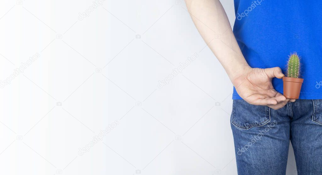 Concepto. Un hombre sostiene un cactus como s mbolo de dolor rectal ...