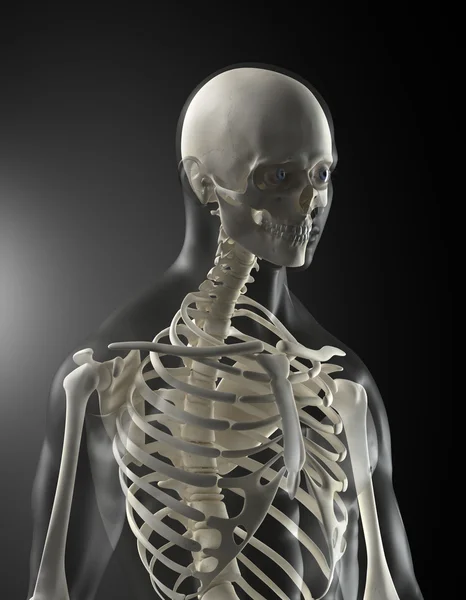 Dead human body Stock Photos, Royalty Free Dead human body Images ...