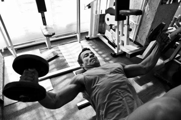 Bodybuilder training gym - Stock Image - Everypixel