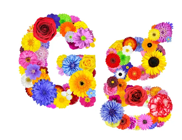 3,673 ilustraciones de stock de Abecedario con flores | Depositphotos