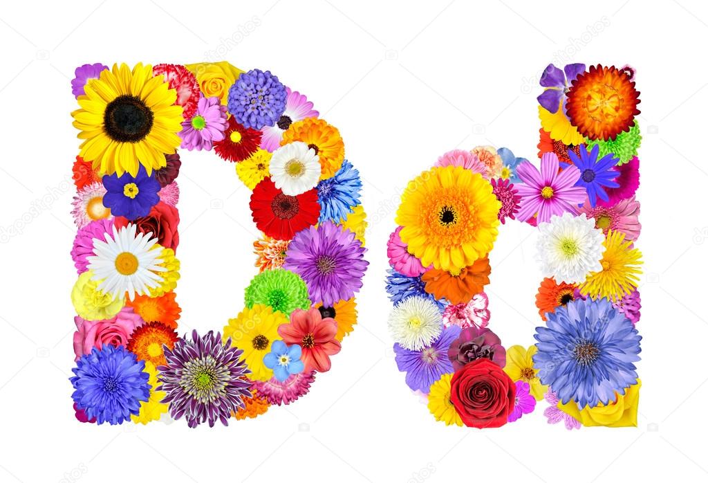 Flower Alphabet Isolated on White - Letter D — Stock Photo © tr3gi ...