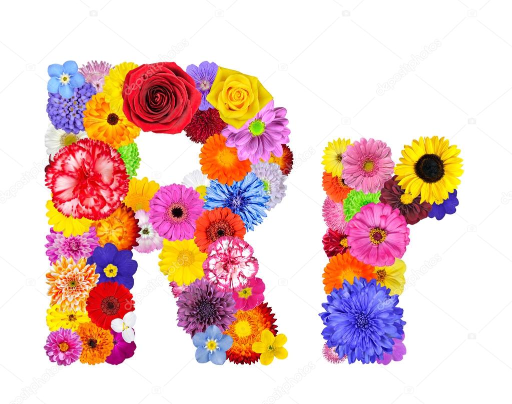 Flower Alphabet Isolated on White - Letter R — Stock Photo © tr3gi ...