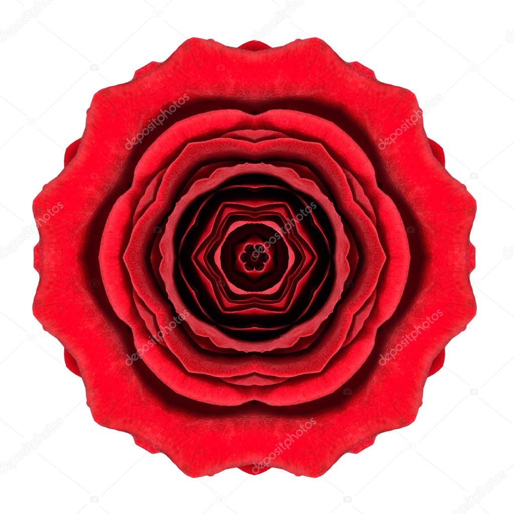 Kaleidoscopic Red Rose Flower Mandala Isolated on White — Stock Photo ...
