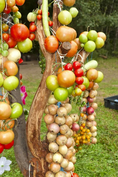 Vegetable tree Stock Photos, Royalty Free Vegetable tree Images ...