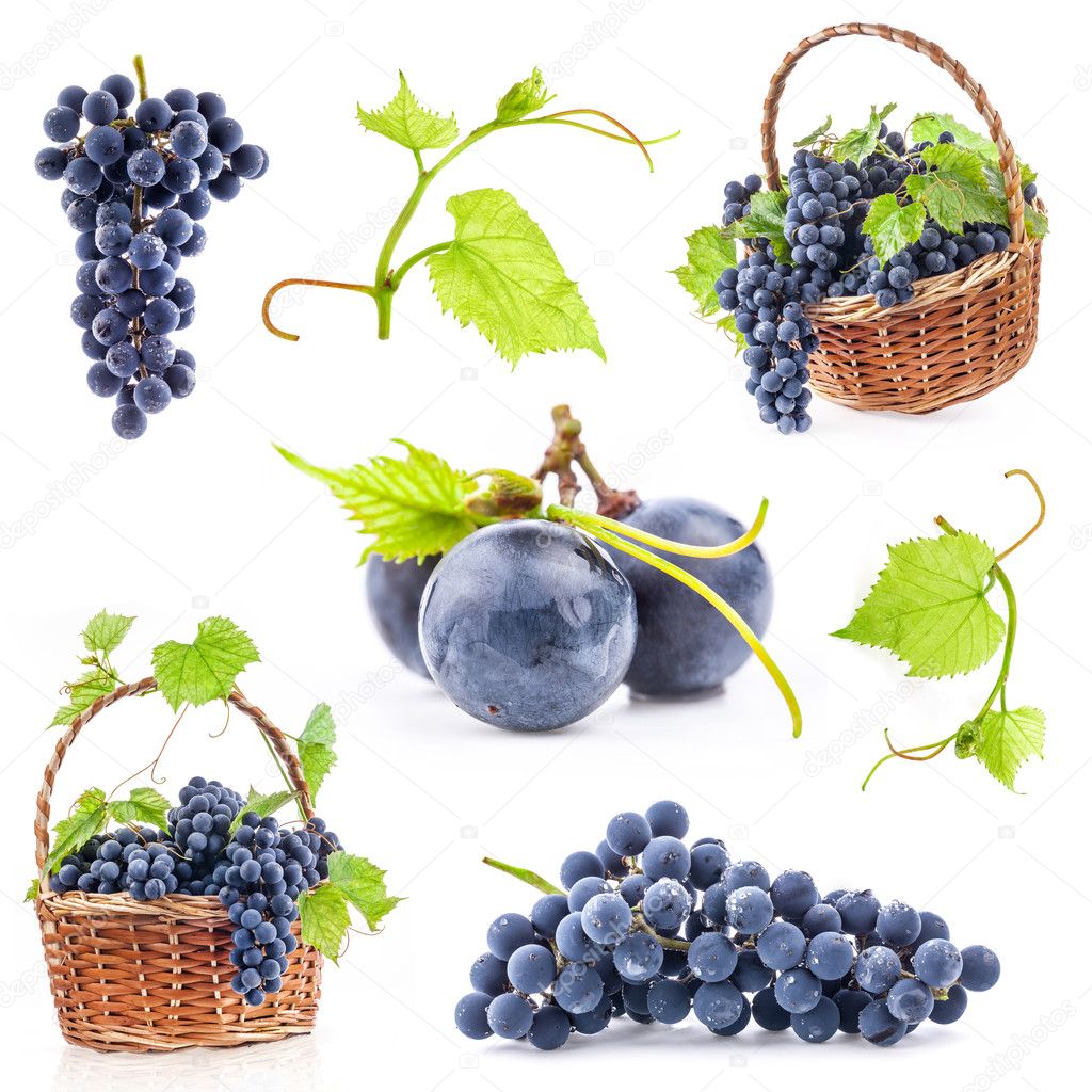Collections of Dark grapes — Stock Photo © msk_nina #14074699