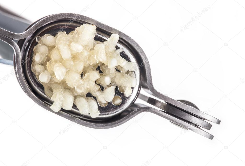 Crushed garlic oozing from garlic press Stock Photo by ©msk_nina 14488931