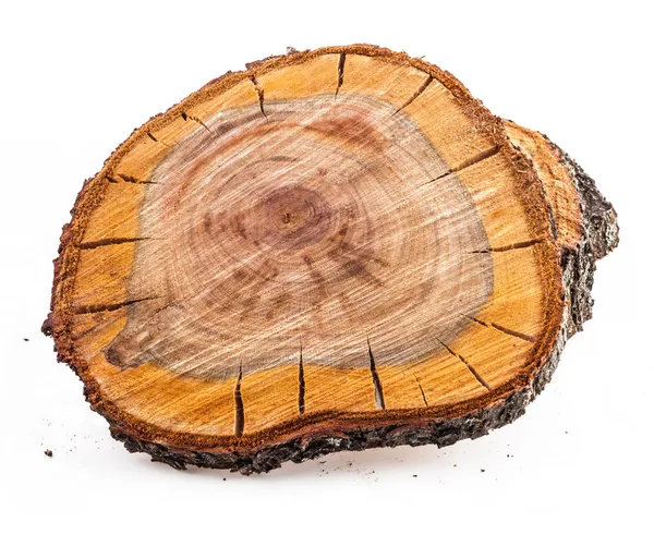 Tronco partido fotos de stock, imágenes de Tronco partido sin royalties ...