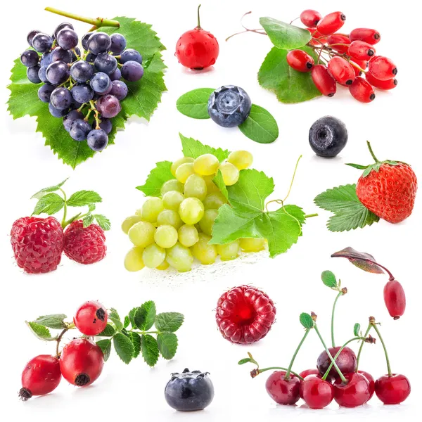Collection of berry Stock Photo by ©msk_nina 11756623