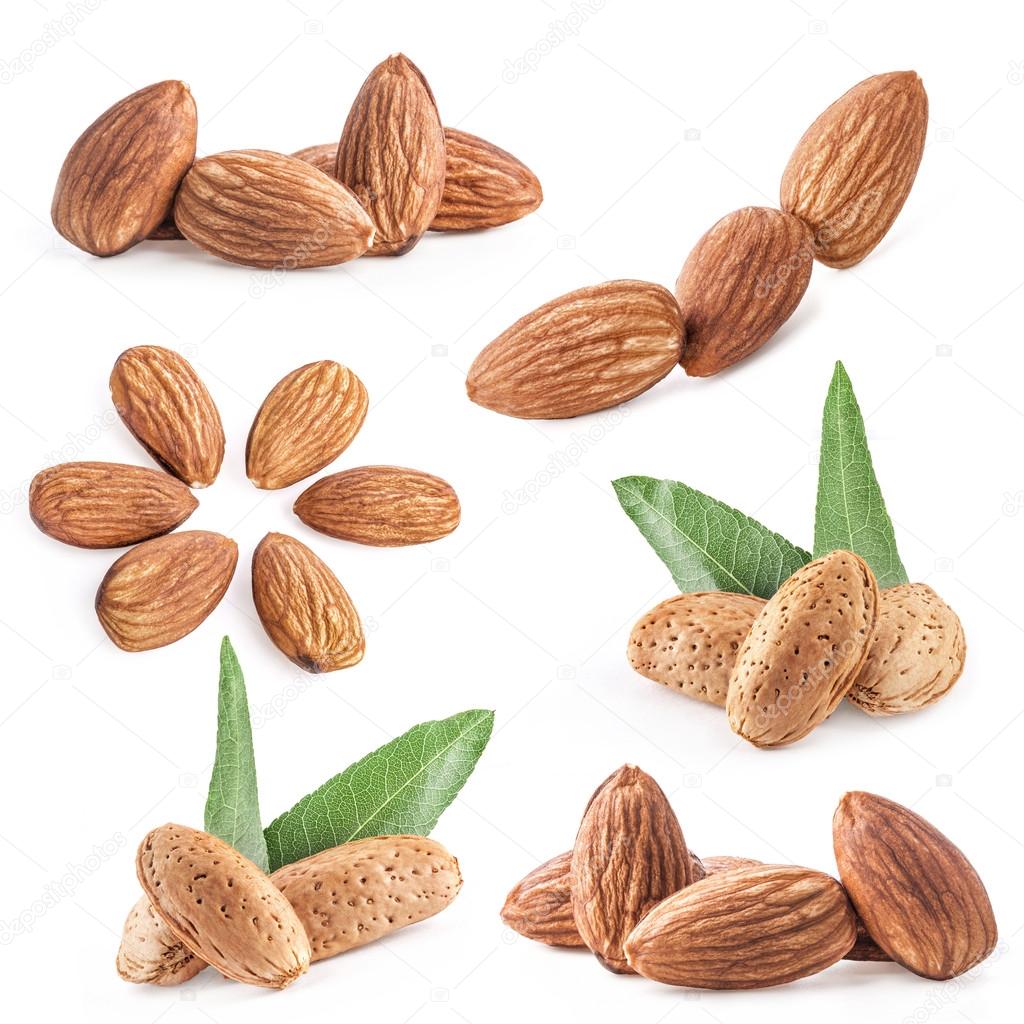 Colección de almendras — Foto de stock #25734255 © msk_nina