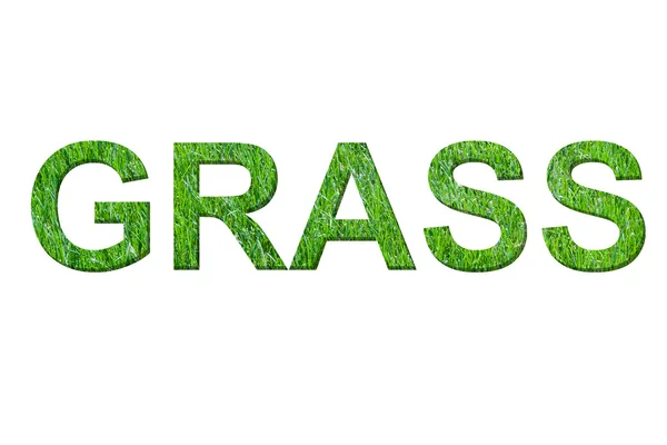 Rendering Organic Word Made Green Grass Earth Concept — Stock Photo ...