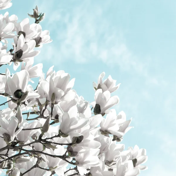 Springtime Stock Photos, Royalty Free Springtime Images | Depositphotos