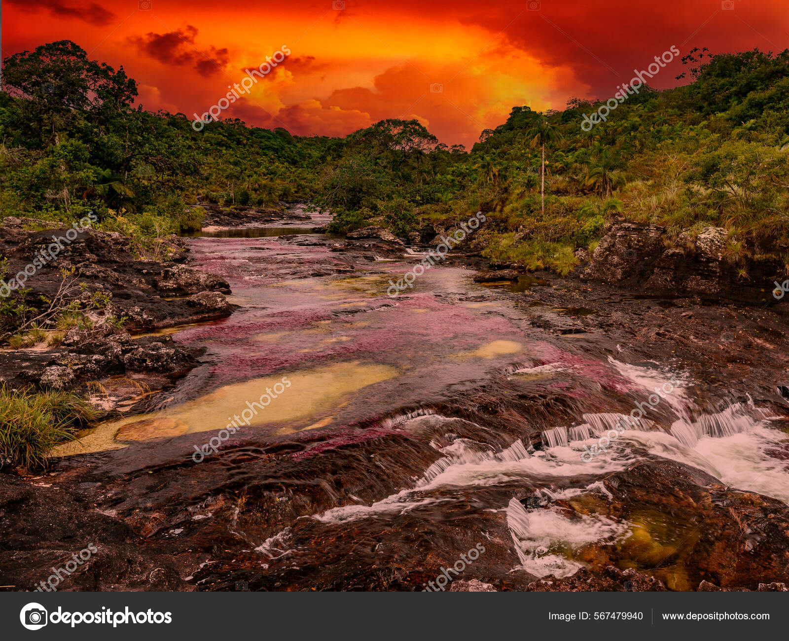 Rainbow River Five Colors River Colombia One Most Beautiful Nature ...