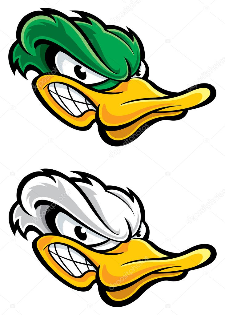 Angry Duck Cartoon