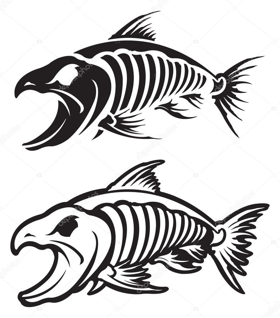 Fish Skeleton — Stock Vector © SlipFloat #21840631