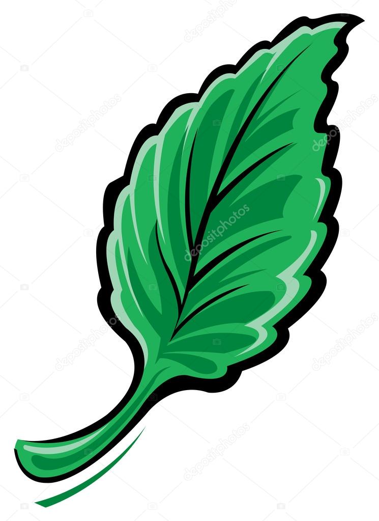 Listek mięty Stock Vector by ©SlipFloat 38057507