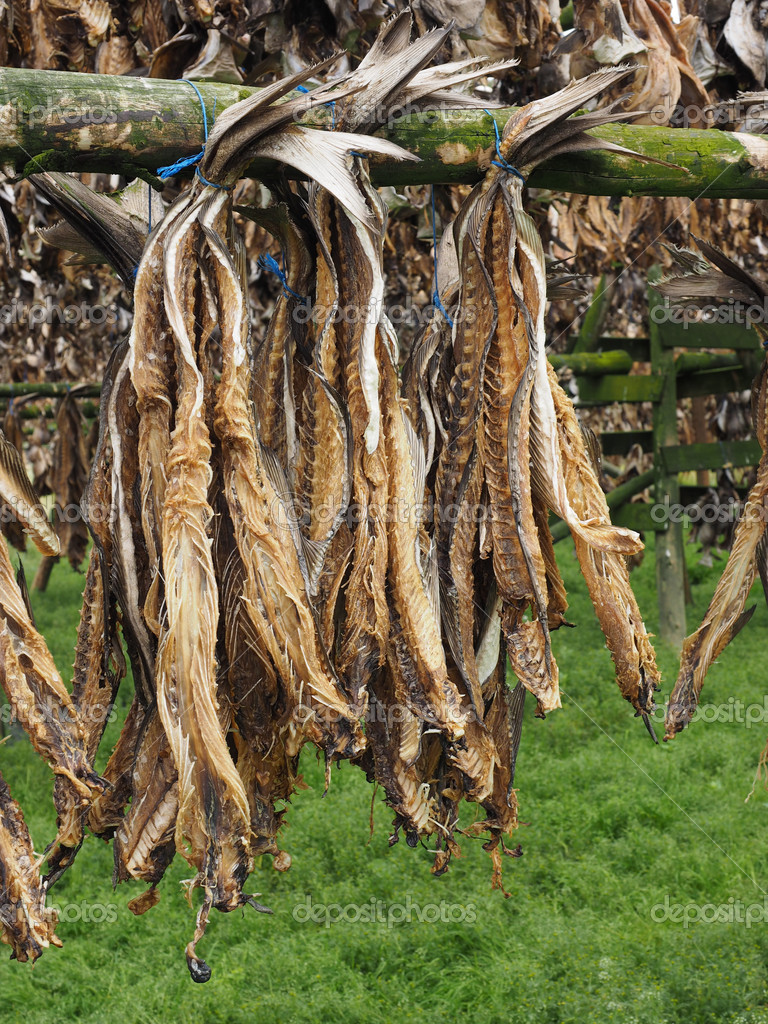 Drying fish, Iceland Stock Photo by ©Fred49 50588441
