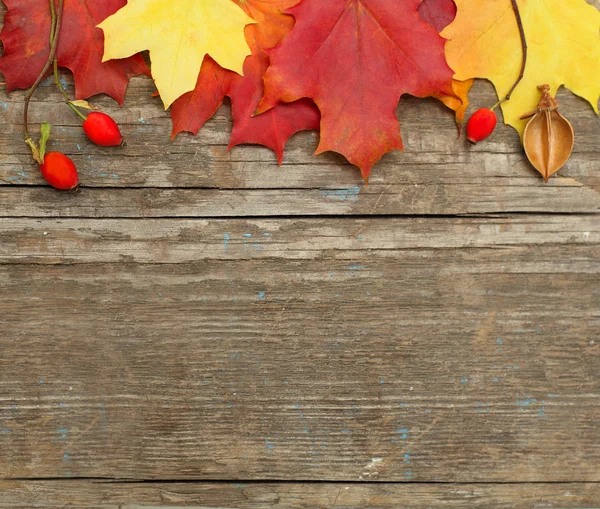 Fall border Stock Photos, Royalty Free Fall border Images | Depositphotos