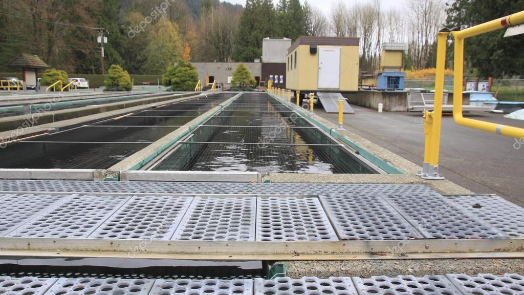 Fish Hatchery Stock Photo by ©modfos 35674107